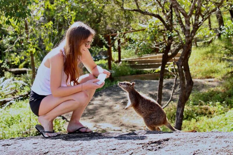 Port Douglas : Private Guide WILDLIFE Safari - An Honest Breakdown of the Tour