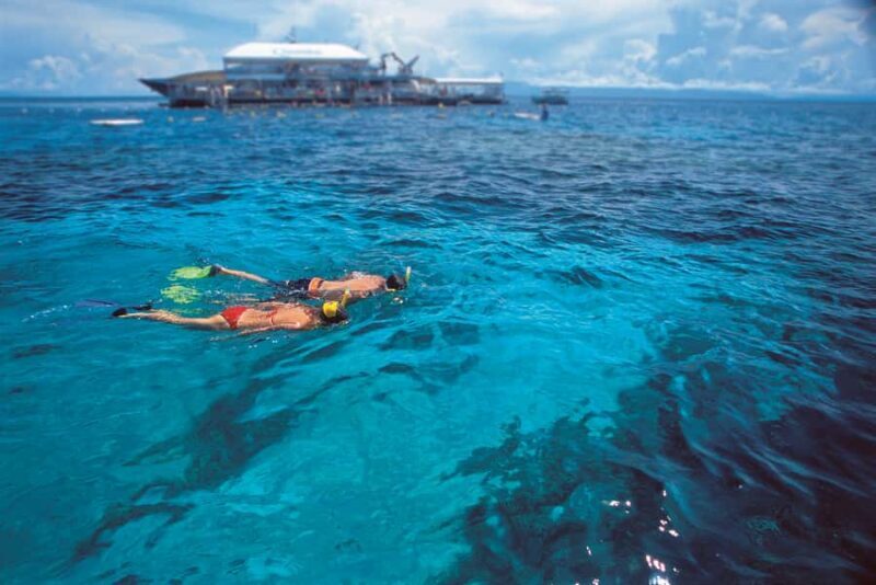 Port Douglas: Quicksilver Outer Barrier Reef Full-Day Cruise - Considerations for Potential Guests