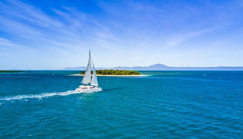 Port Douglas: Reef & Low Isles Cruise on Luxury Catamaran - An In-Depth Look at the Reef & Low Isles Tour