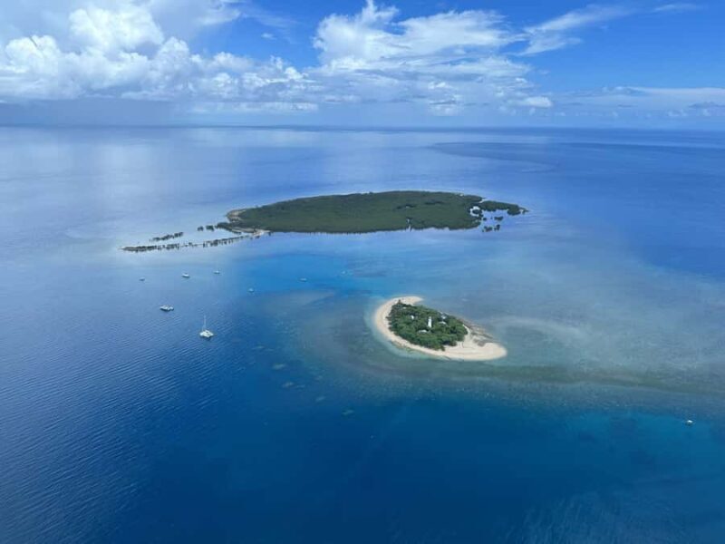 Port Douglas: Reef & Low Isles Cruise on Luxury Catamaran - The Sum Up