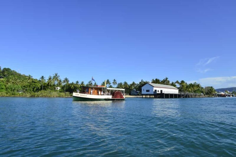 Port Douglas: River Cruise, Crocodile Spotting, Drink/ Snack - An In-Depth Look at the Port Douglas River Cruise Experience