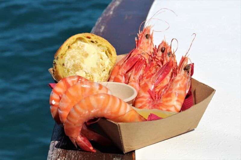 Port Douglas: Shaolin Seafood Lunch Sail, with Fresh Prawns - Who Will Love This Tour?