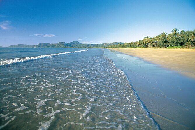 Port Douglas to Cairns ONE WAY Private Transfer 6 pax - Why This Transfer Is a Solid Choice