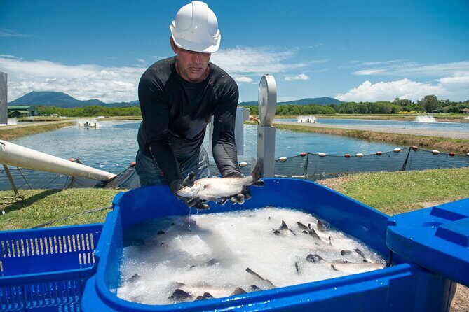 Port Douglas Tour Hook-A-Barra with Lunch - The Sum Up
