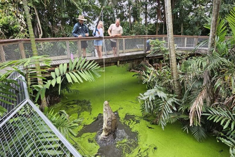 Port Douglas: Wildlife Habitat Croc Feed Experience & Entry - The Broader Experience at Wildlife Habitat