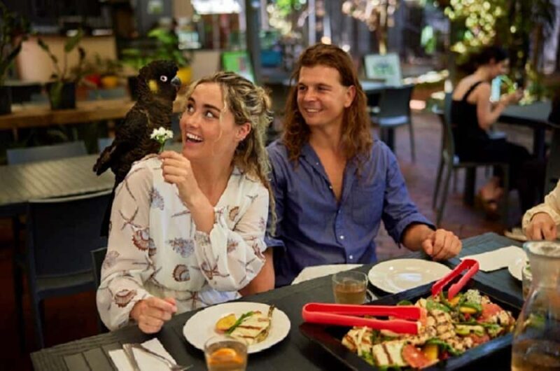 Port Douglas: Wildlife Habitat Entrance Ticket - Location and Accessibility