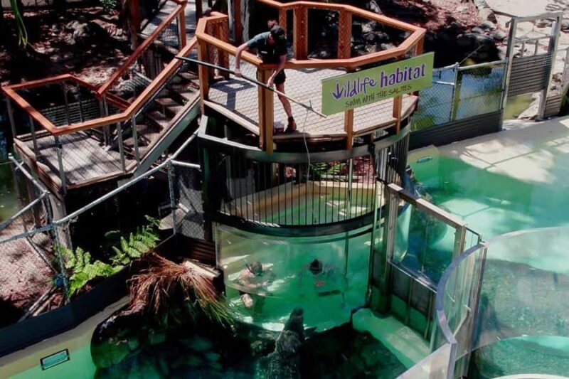 Port Douglas: Wildlife Habitat Swim with Crocodiles - A Detailed Look at the Croc Swim Experience