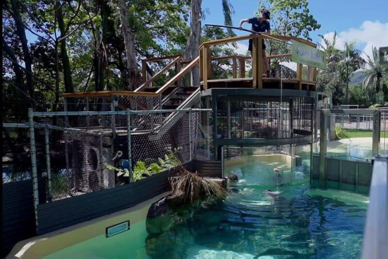 Port Douglas: Wildlife Habitat Swim with Crocodiles - Authentic Insights from Reviewers