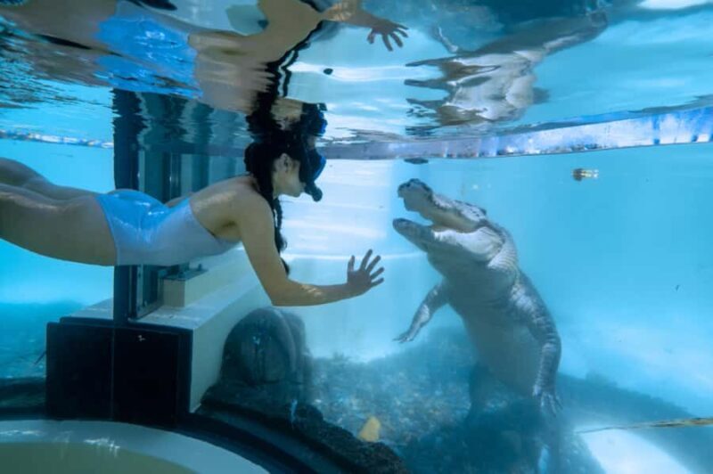 Port Douglas: Wildlife Habitat Swim with Crocodiles - Final Thoughts: Is It Worth It?