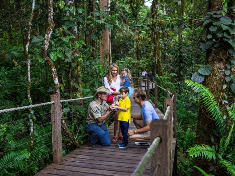 Port Douglas: World Heritage Forest by Skyrail & Scenic Rail - FAQ