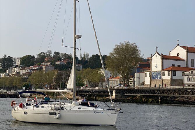 Port : Douro River Cruise (2 h)  Wine & Scenic Views - Practical Details and Value