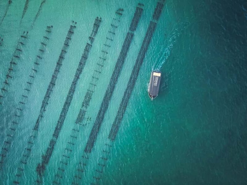 Port Lincoln: Coffin Bay Seafood, Wine, and Nature Day Trip - Practical Details and Tips