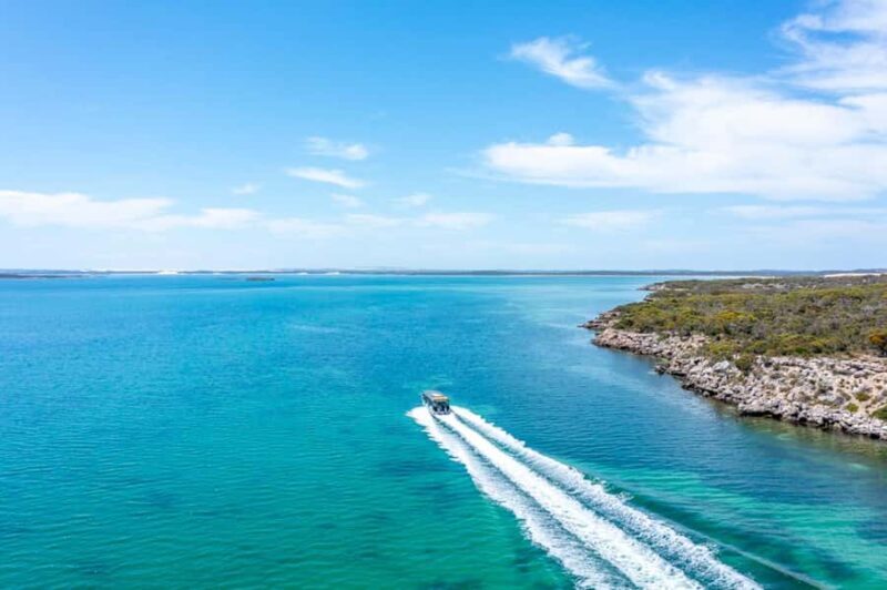 Port Lincoln: Coffin Bay Seafood, Wine, and Nature Day Trip - Authentic Reviews: What Real Travelers Say