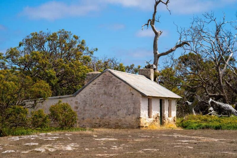 Port Lincoln Mikkira Station Wild Koala Safari Tour - Final Thoughts: Is It Worth It?