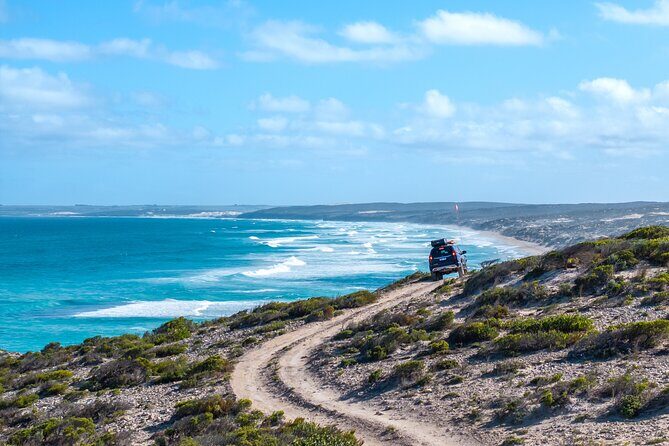 Port Lincoln National Park Half day Tour - Exploring the Beauty of Port Lincolns Lincoln National Park: A Detailed Review of the Half-Day Tour