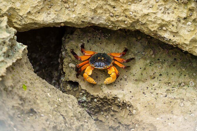 Port Lincoln National Park Half day Tour - Frequently Asked Questions