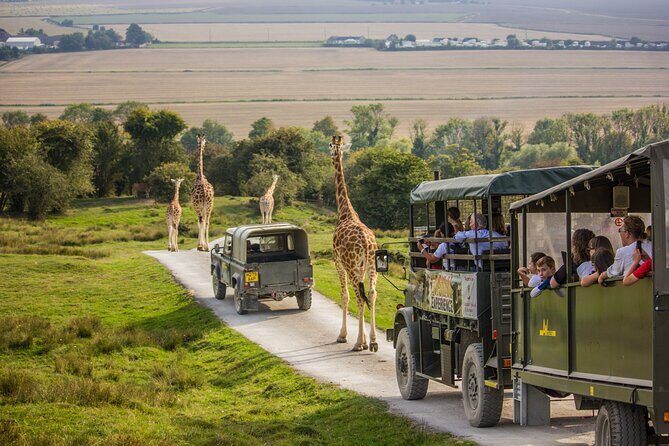 Port Lympne Day Ticket - Key Points
