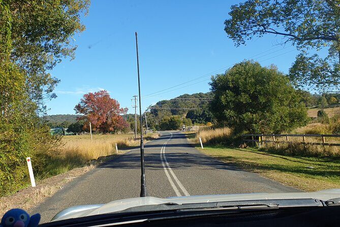 Port Macquarie Day Tour to Water Falls and Lookouts - A Closer Look at the Waterfalls and Lookouts Tour