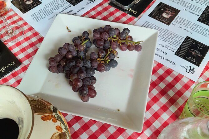 Port Macquarie Wine and Beer, Hastings Tasting Trail Tour - A Closer Look at the Hastings Tasting Trail Tour