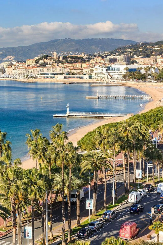 Port of Cannes : Personalized private tour - Who This Tour Is Best For