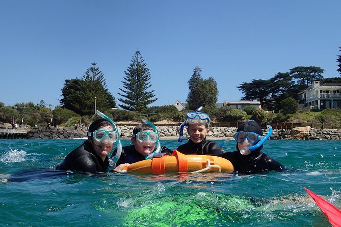 Port Phillip Bay Snorkeling with Sea Dragons - Key Points