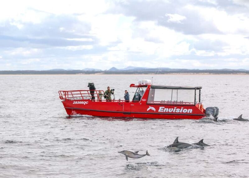 Port Stephens: 1hr Dolphin Watch Express - An In-Depth Look at the Port Stephens Dolphin Watch Express