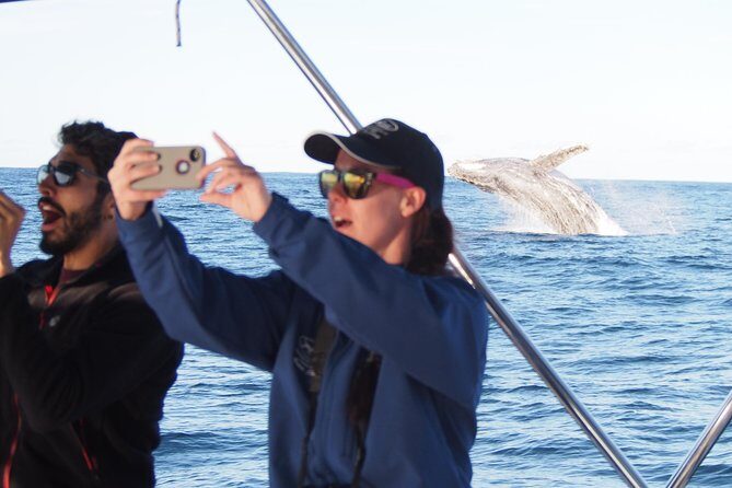 Port Stephens 3 Hour Whale and Dolphin Watch Cruise - Evaluating the Value