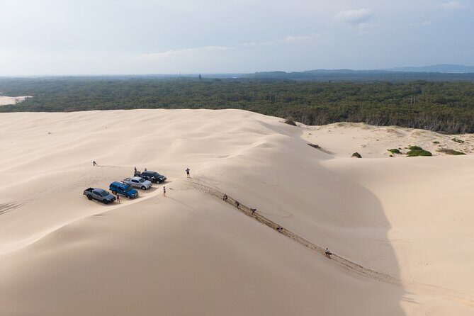 Port Stephens, Beach and Sand Dune 4WD Tag-Along Tour - An Overview of the Experience