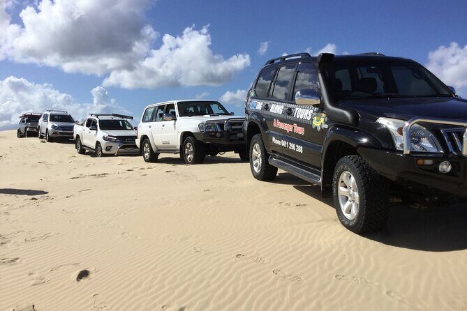 Port Stephens, Beach and Sand Dune 4WD Tag-Along Tour - What’s Included and What You Need to Know
