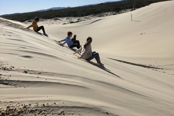 Port Stephens, Beach and Sand Dune 4WD Tag-Along Tour - Why This Tour Offers Great Value