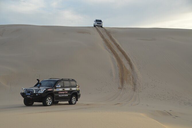 Port Stephens, Beach and Sand Dune 4WD Tag-Along Tour - Who Will Enjoy This Tour?