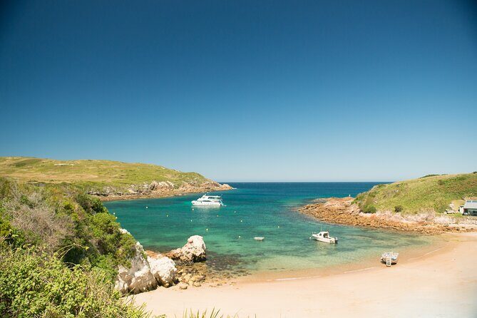 Port Stephens: Broughton Island Cruise - Starting Point and Logistics