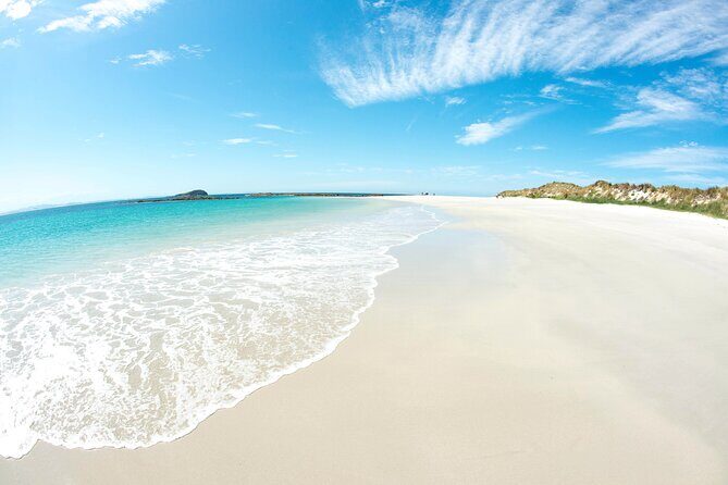 Port Stephens: Broughton Island Cruise - Bonus Attractions on the Return Trip