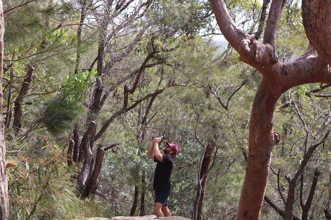 Port Stephens, departing Newcastle - Whales, hike & sand dunes! - Why This Tour Offers Real Value