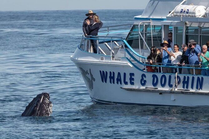 Port Stephens, departing Newcastle - Whales, hike & sand dunes! - Final Recommendation