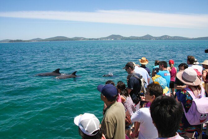 Port Stephens: Dolphin Discovery Cruise - Final Thoughts