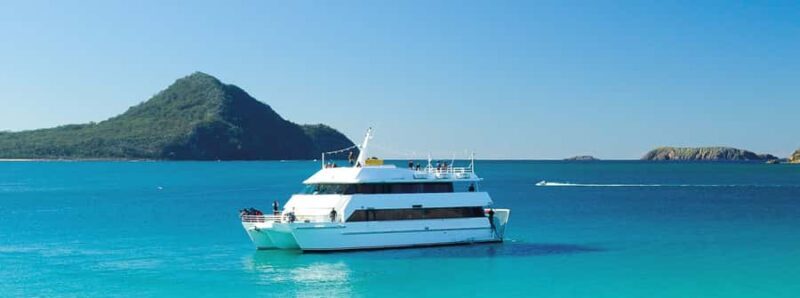 Port Stephens: Dolphin, Lunch, Koalas&Sandboarding -Mandarin - A Deep Dive into the Tour Experience