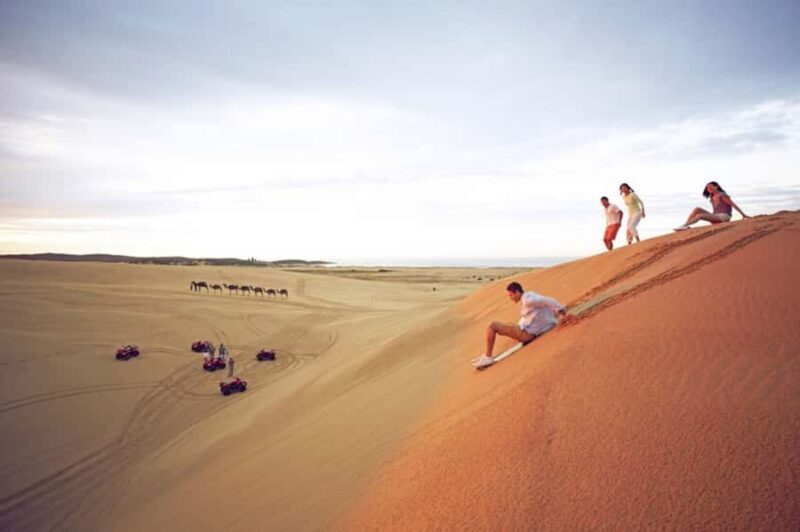 Port Stephens: Dolphin, Lunch, Koalas&Sandboarding -Mandarin - The Practicalities & Value