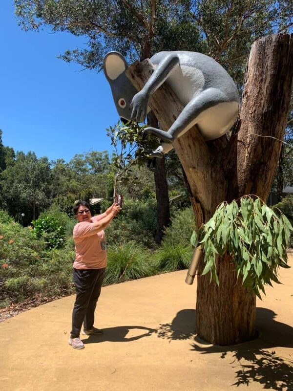 Port Stephens: Dolphin, Lunch, Koalas&Sandboarding -Mandarin - FAQ