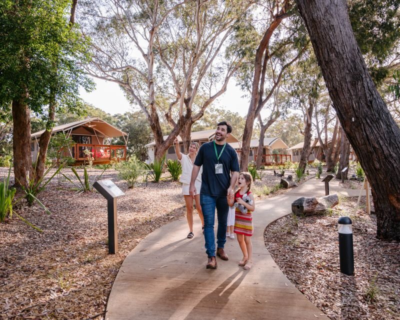 Port Stephens: Koala Sanctuary General Admission Ticket - Who Will Love This Experience?