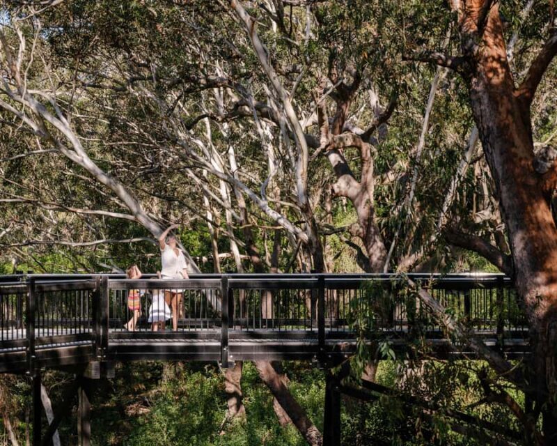 Port Stephens: Koala Sanctuary General Admission Ticket - The Sum Up