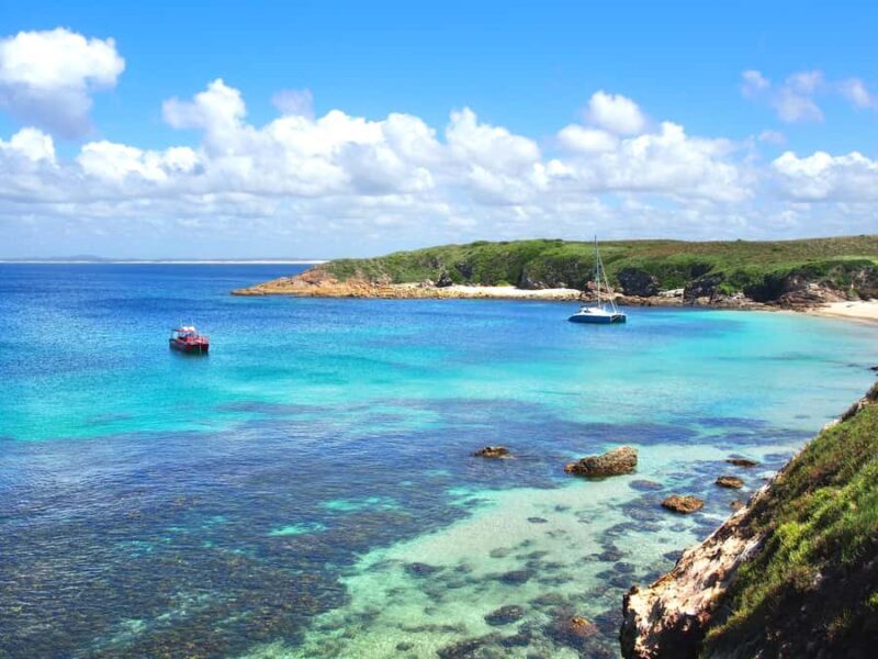 Port Stephens: Port Stephens Island Snorkel Adventure Cruise - An In-Depth Look at the Snorkel Adventure
