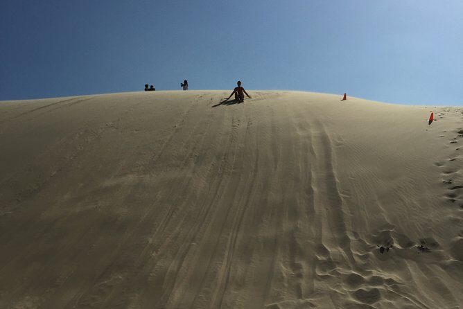 Port Stephens Private Tour From Sydney, with Dolphin/ Whale Cruise Options - Key Points