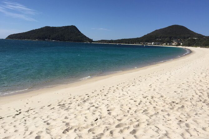 Port Stephens Private Tour From Sydney, with Dolphin/ Whale Cruise Options - Who Is This Tour Best Suited For?