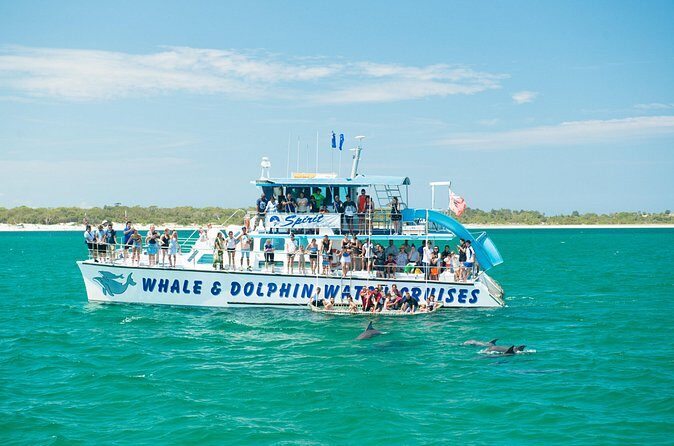 Port Stephens: Splash 'n' Slide Dolphin Cruise - The Scenic and Wildlife Highlights