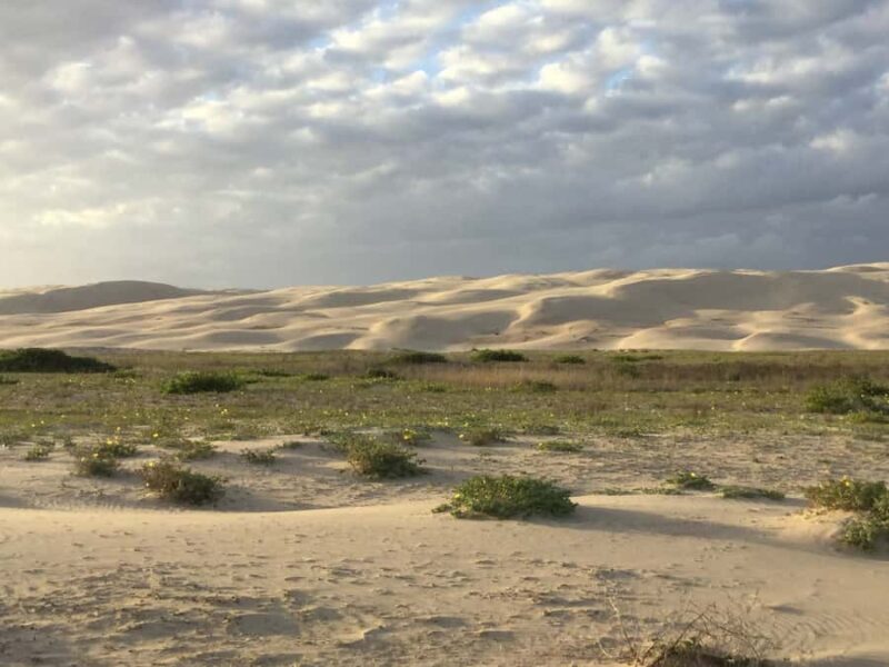 Port Stephens: Stockton Sand Dunes 4WD Tag-Along Tour - Is This Tour Worth the Price?