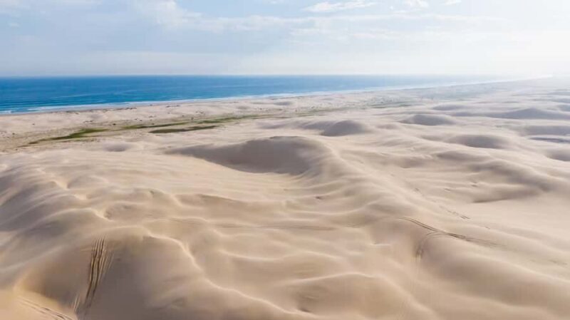 Port Stephens: Stockton Sand Dunes 4WD Tag-Along Tour - The Sum Up