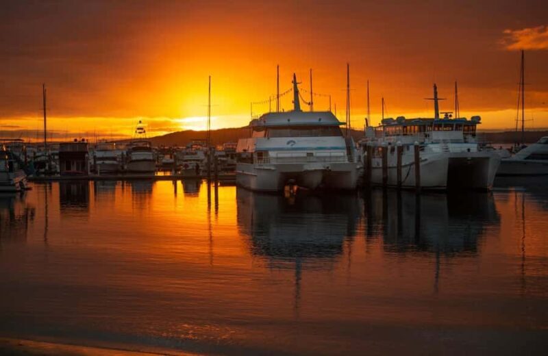 Port Stephens: Sunset on the Bay Cruise - The Experience: What You Can Expect