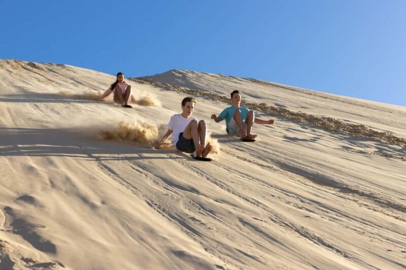 Port Stephens: Unlimited Sandboarding & 4WD Sand Dune Tour - What the Experience Looks Like