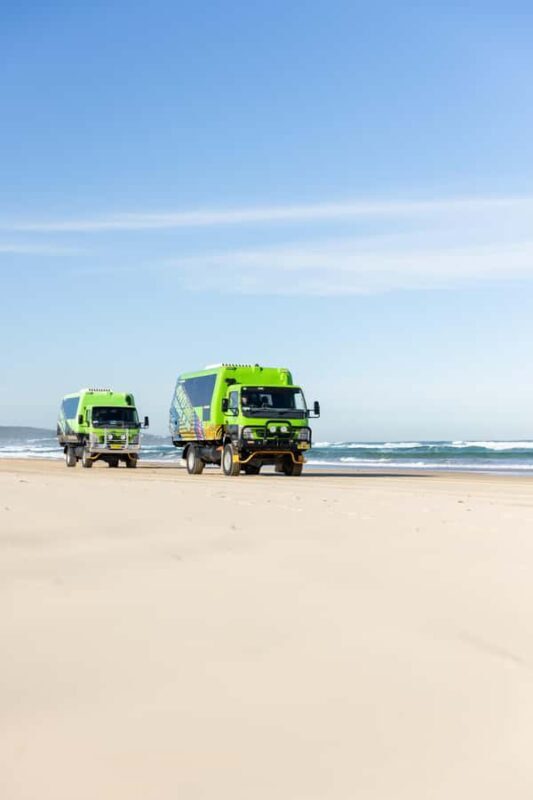 Port Stephens: Unlimited Sandboarding & 4WD Sand Dune Tour - The Sum Up